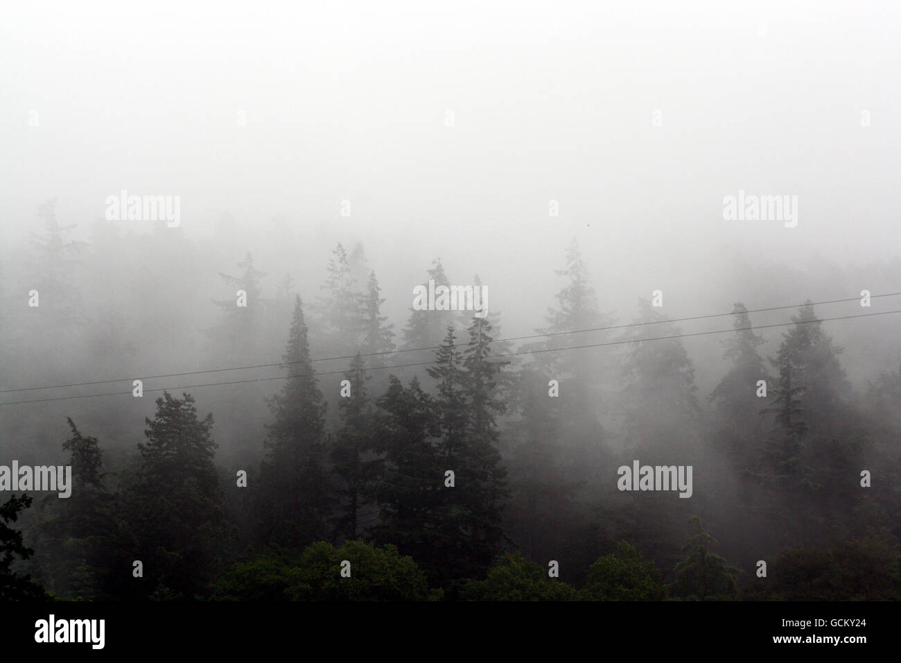 Fog rises in Rothbury Stock Photo - Alamy