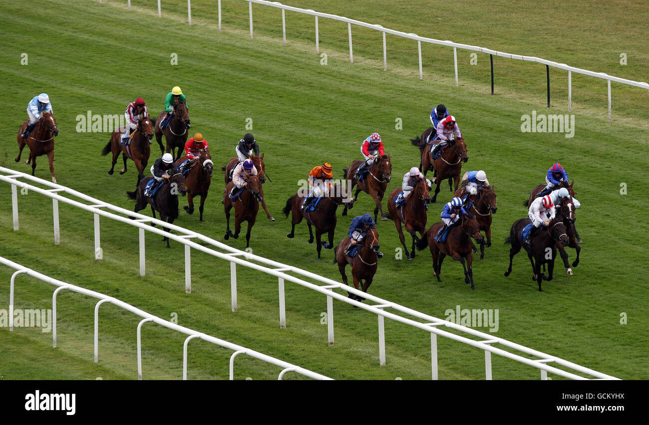 Highclere horse High Resolution Stock Photography and Images - Alamy