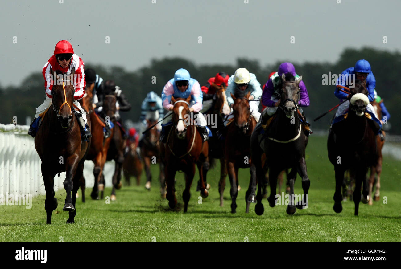 Highclere horse High Resolution Stock Photography and Images - Alamy