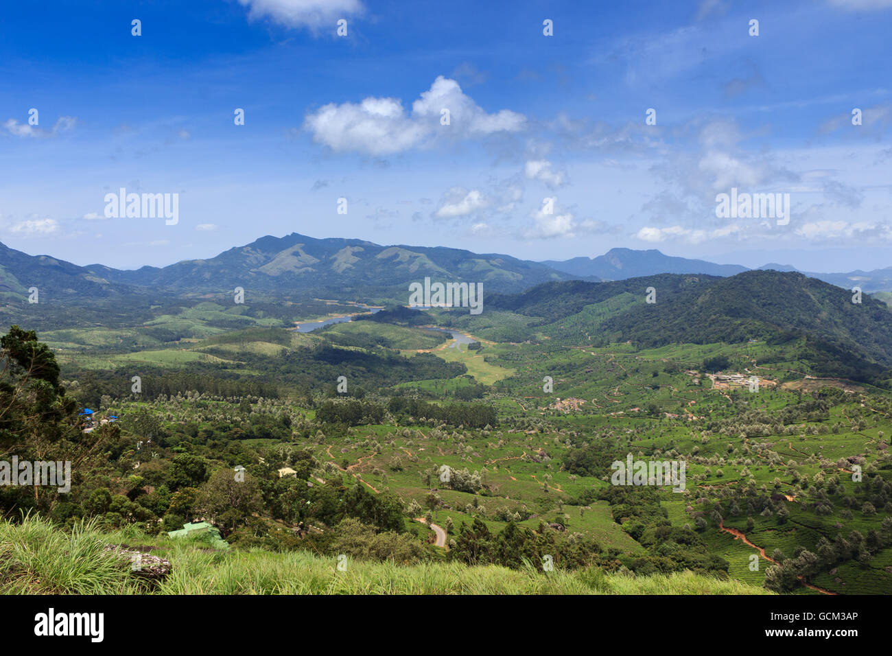 Scenic View of a Valley in Munnar, Kerala, India on a Sunny Day Stock ...