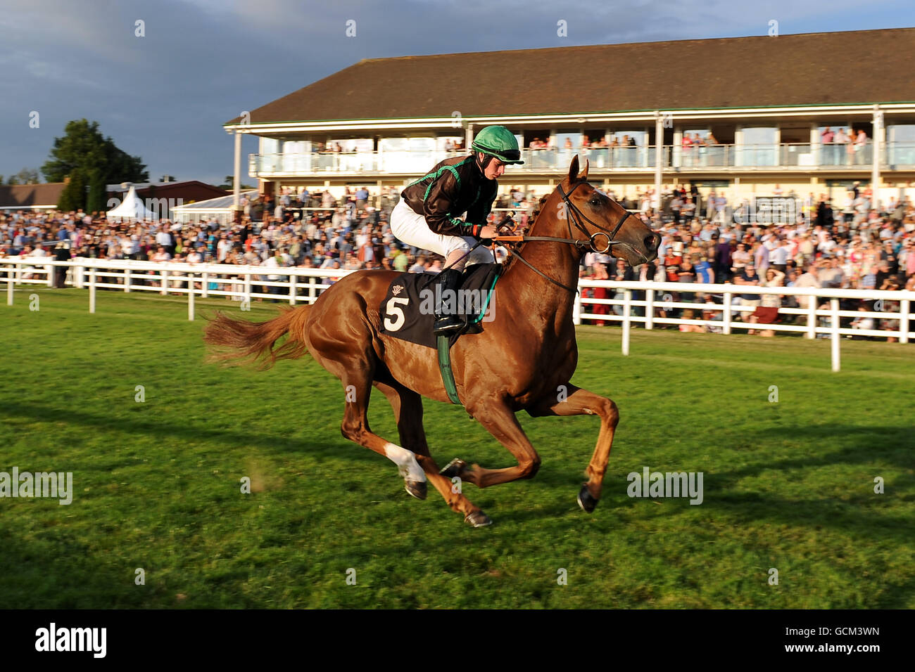Horse Racing - Vines of Gatwick and Redhill Ladies' Evening - featuring ...