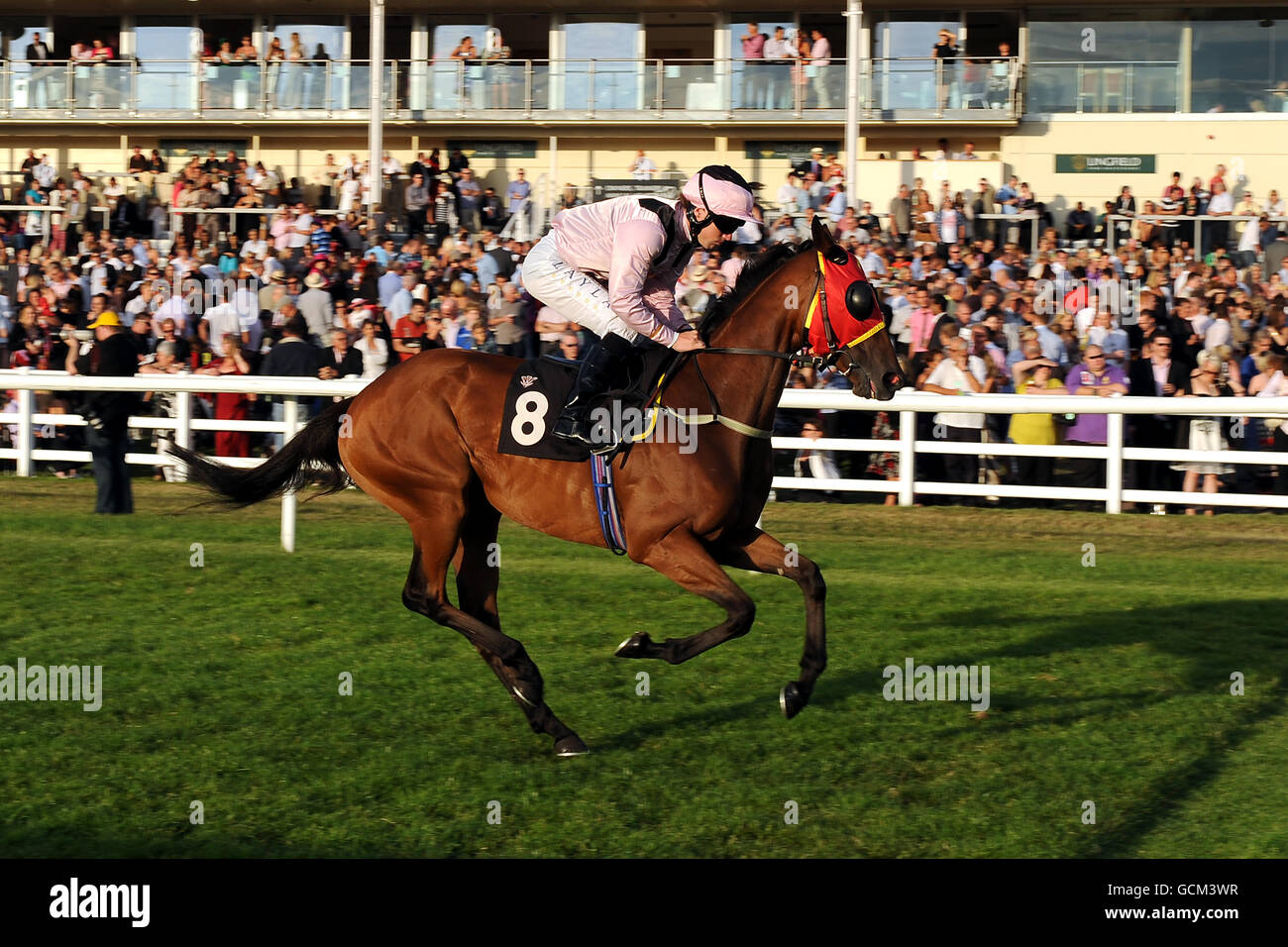 Horse Racing - Vines of Gatwick and Redhill Ladies' Evening - featuring ...