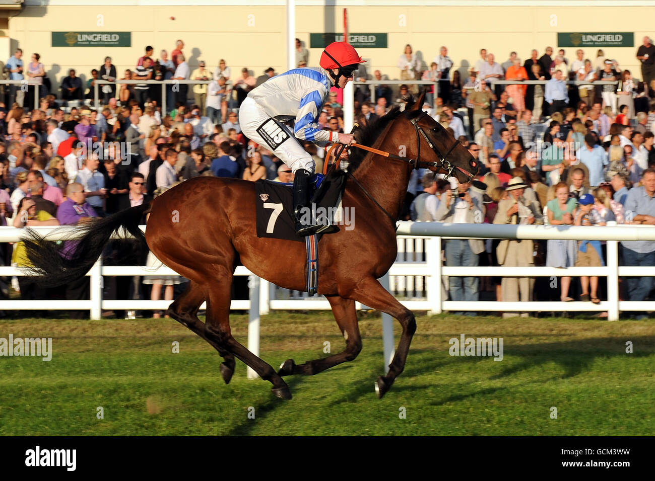 Horse Racing - Vines of Gatwick and Redhill Ladies' Evening - featuring ...