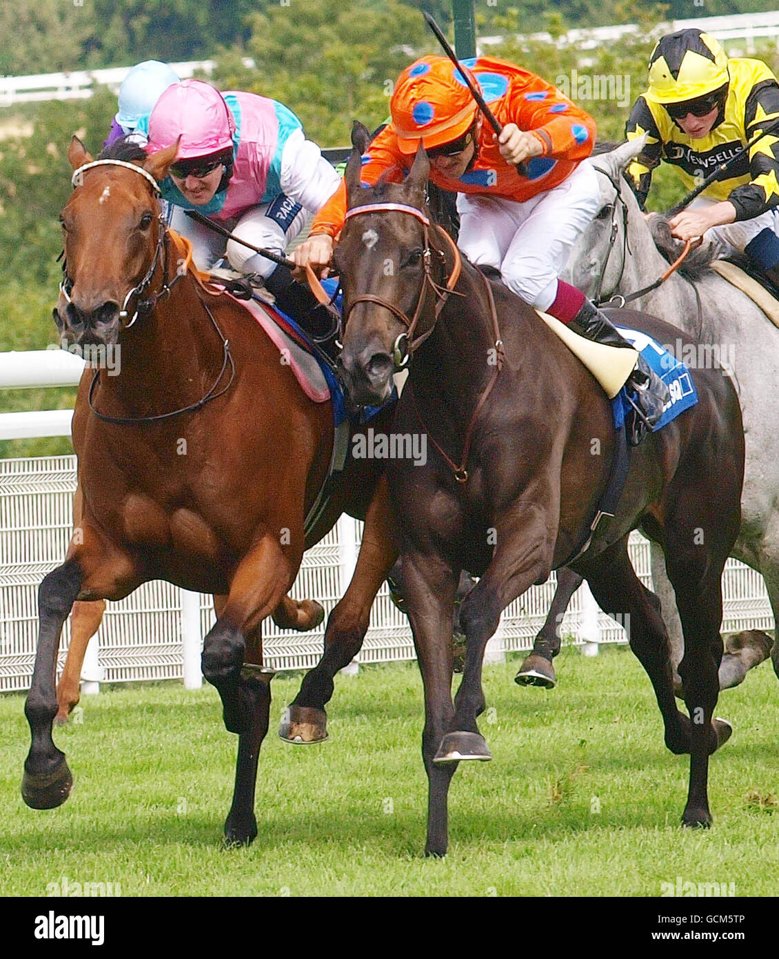 Midday's Tom Quelly (left) beats Stacelita's Christophe Soumillon to ...