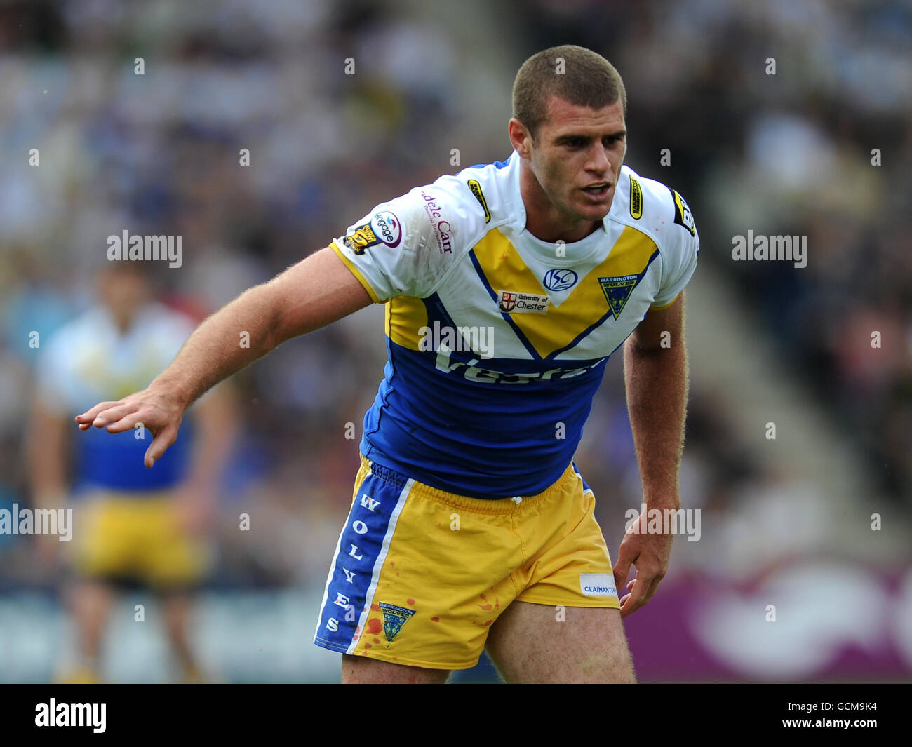 Wolves ampics hi-res stock photography and images - Alamy