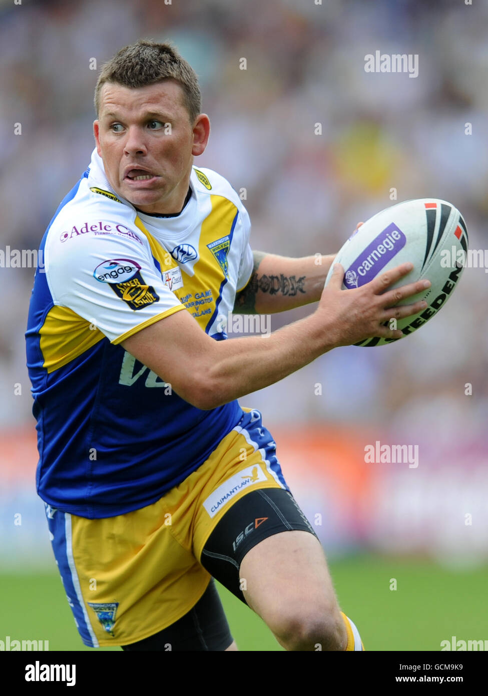 Wolves ampics hi-res stock photography and images - Alamy