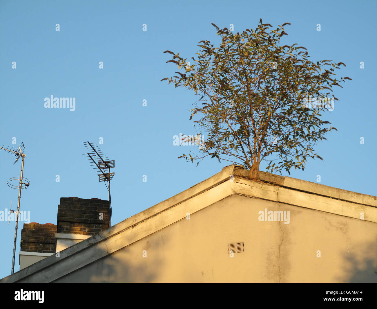 Importance of a survey hi-res stock photography and images - Alamy