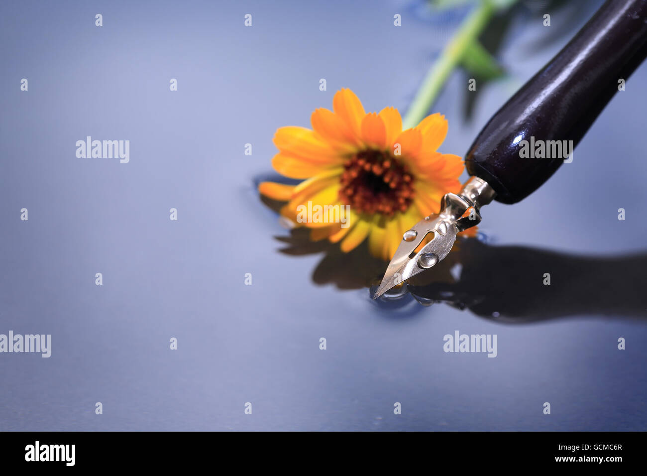 Poetry symbol. Still life with ink pen and flower on water surface ...