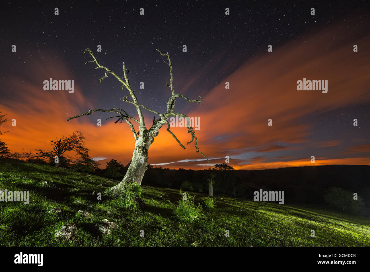 Hangmans tree hi-res stock photography and images - Alamy