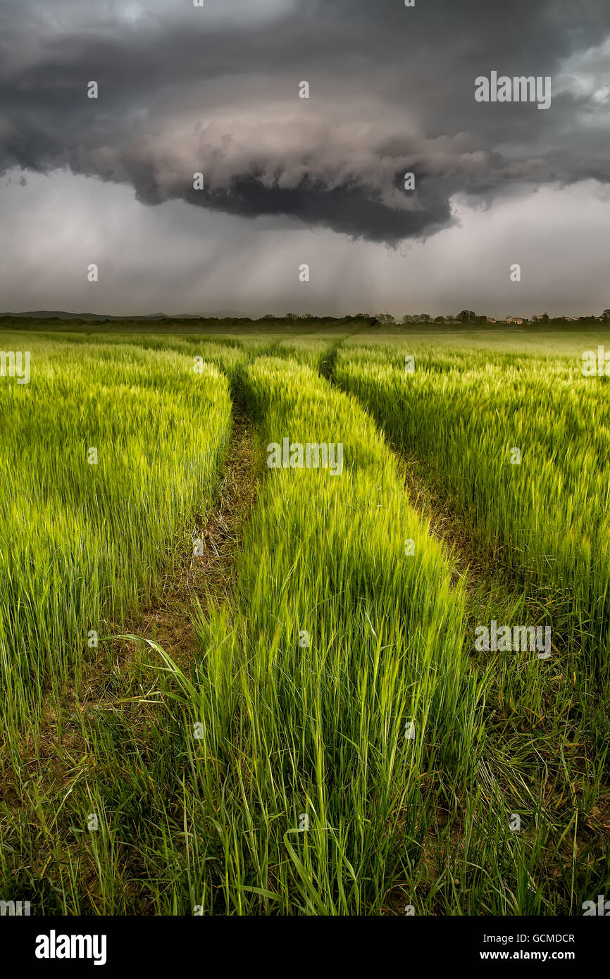 Path to the storm Stock Photo - Alamy