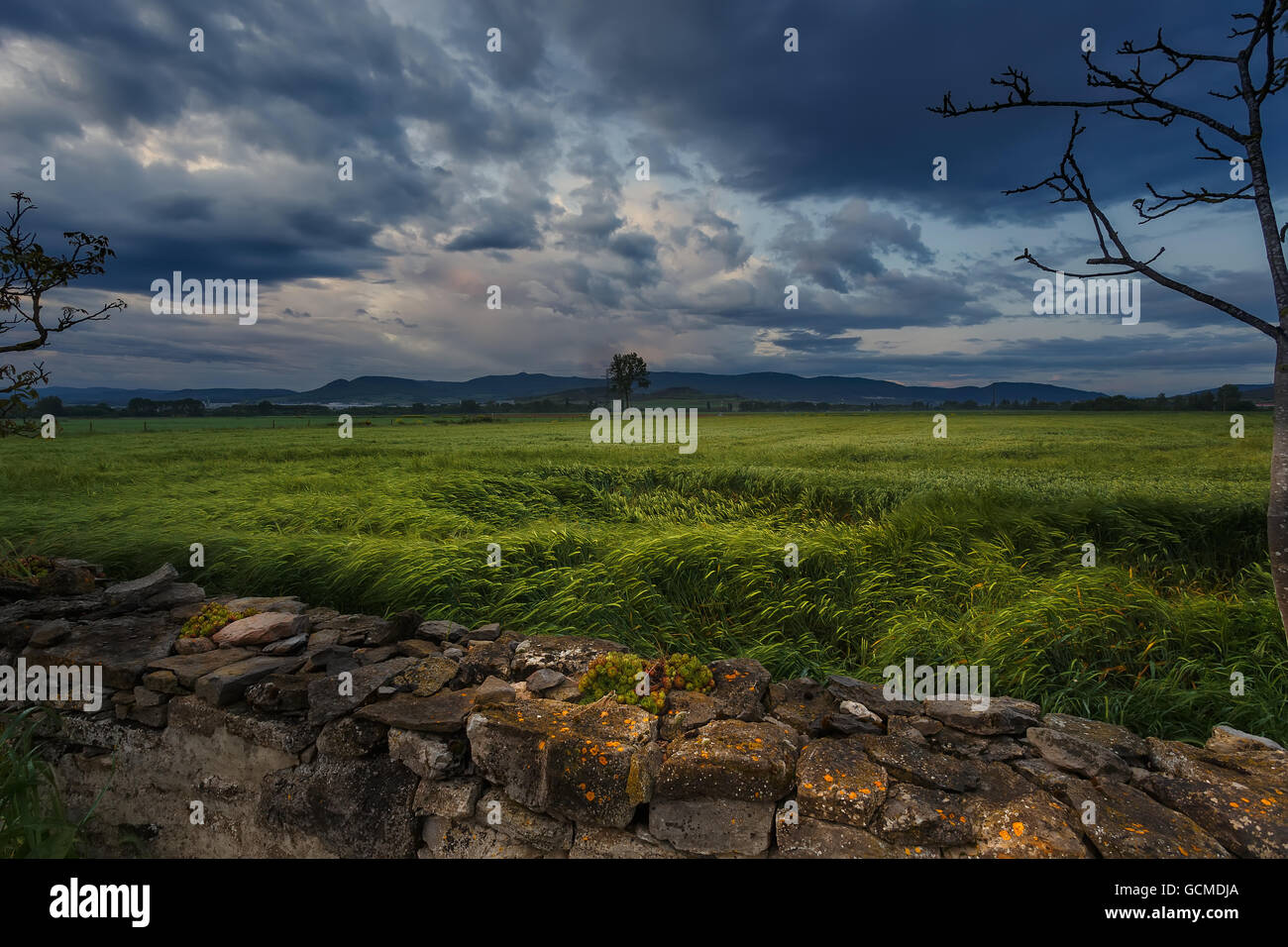 Rocks and fields hi-res stock photography and images - Alamy