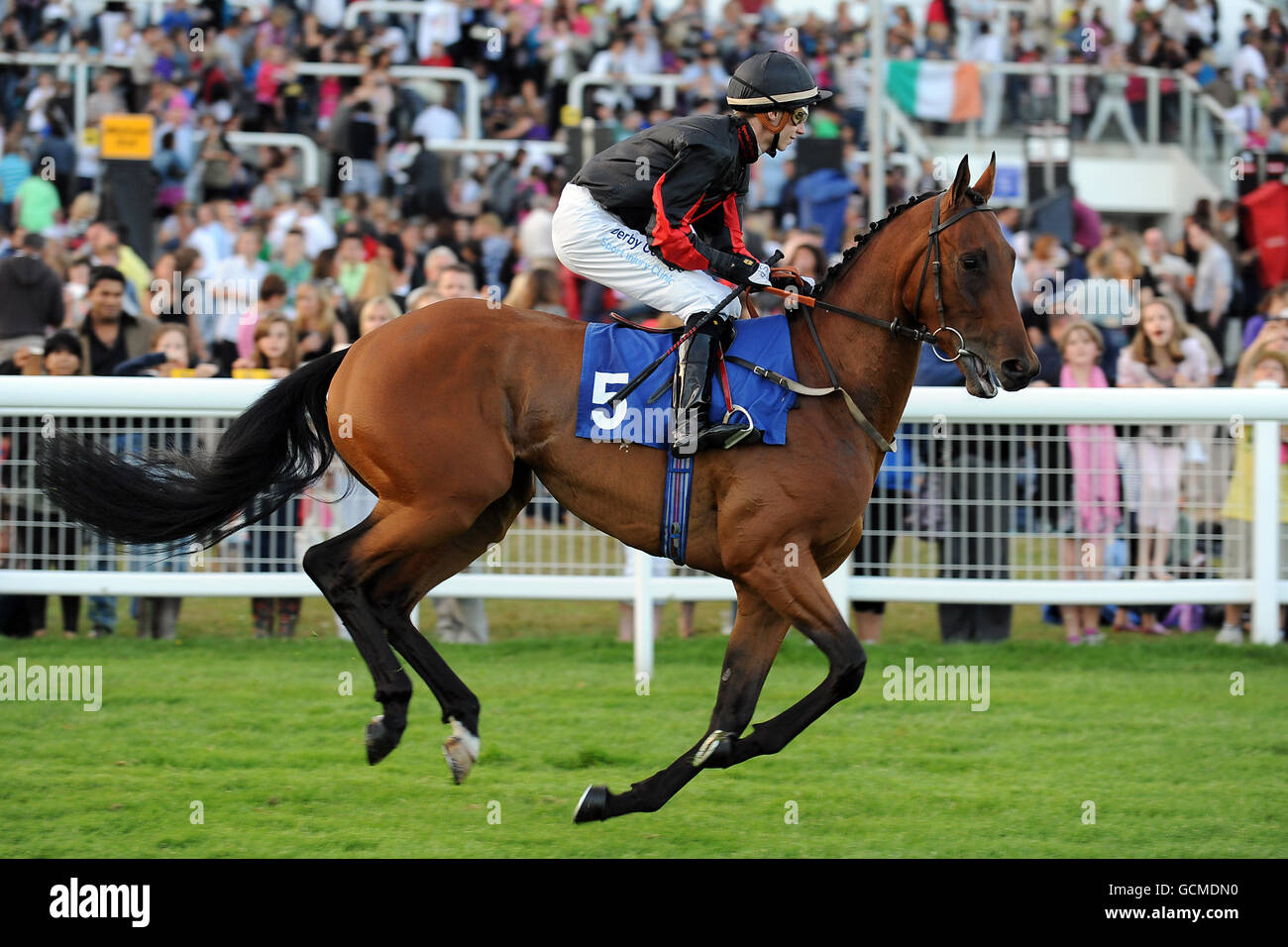 Super Duplex ridden by jockey Simon Pearce going to post prior to the ...