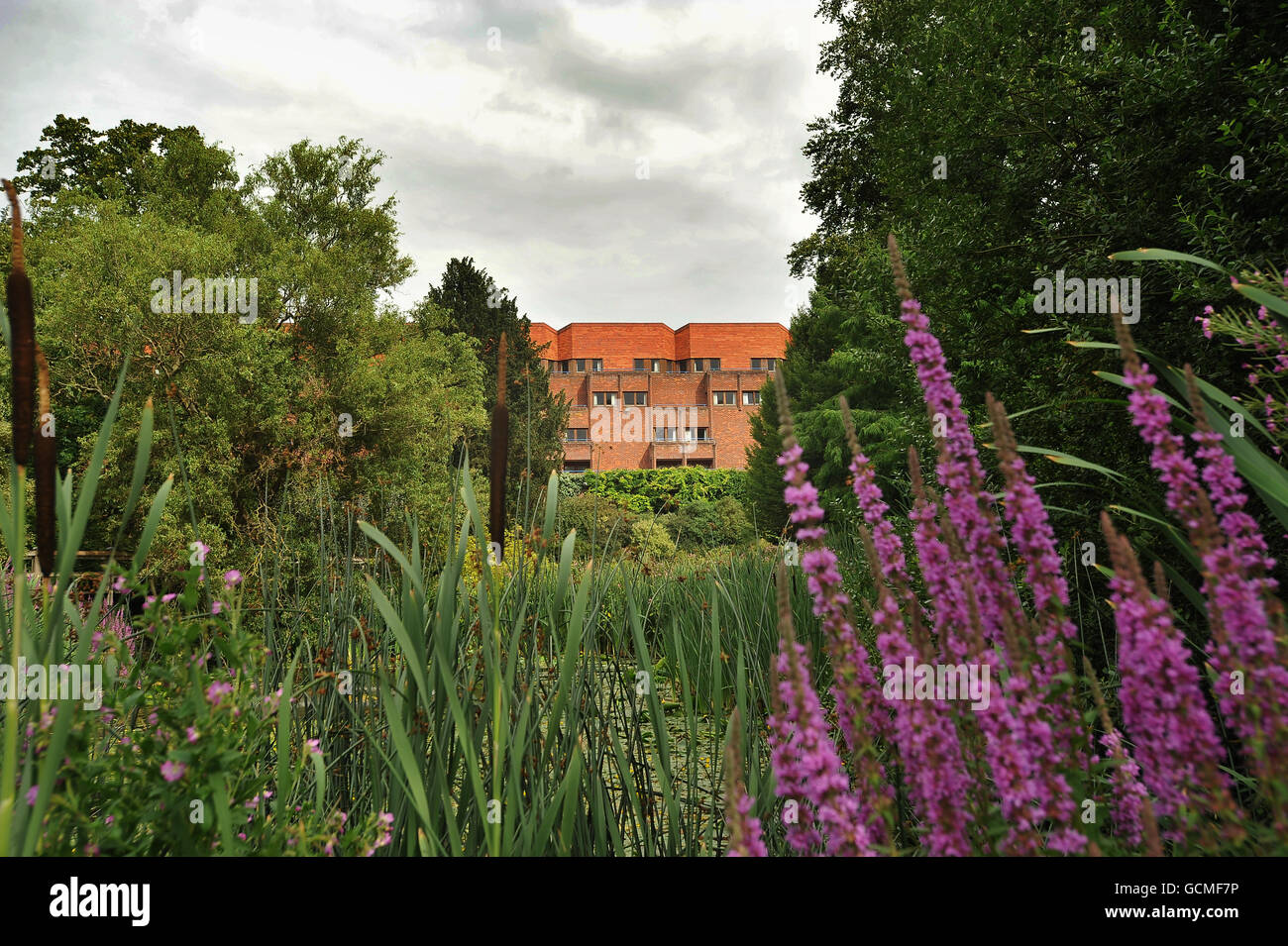 City Views - Cambridge Stock Photo - Alamy