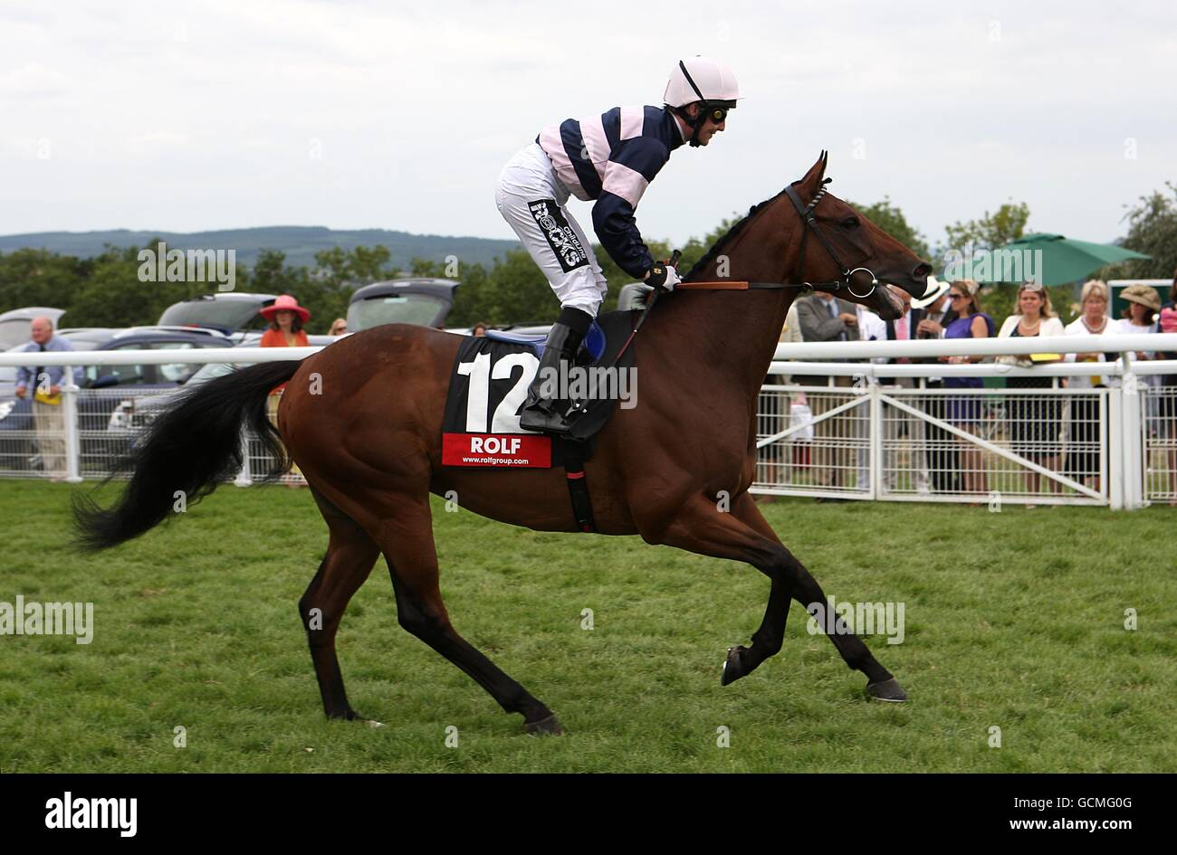 Digby horse hi-res stock photography and images - Alamy