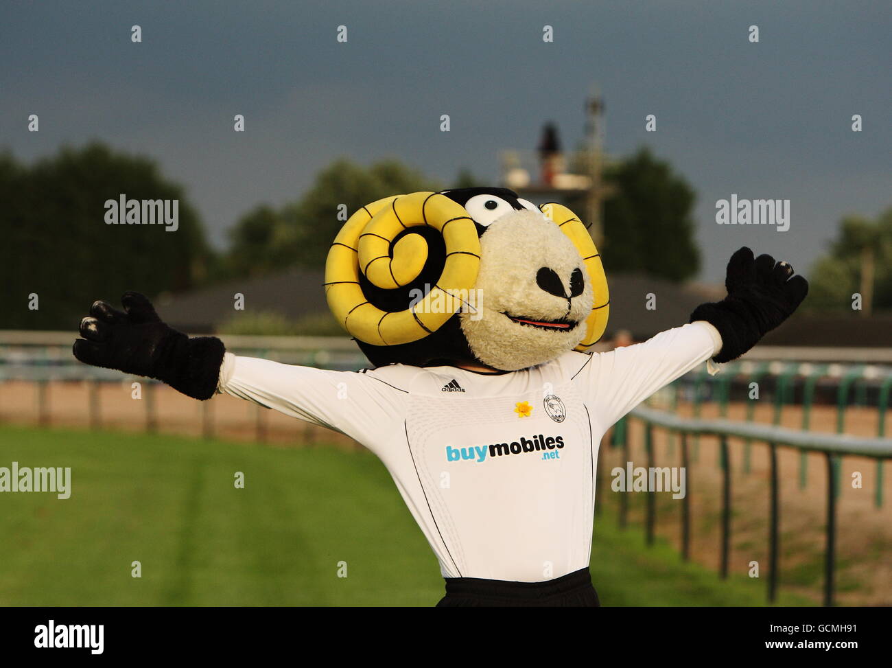 Some of the mascots in the football league mascot race hi-res stock ...