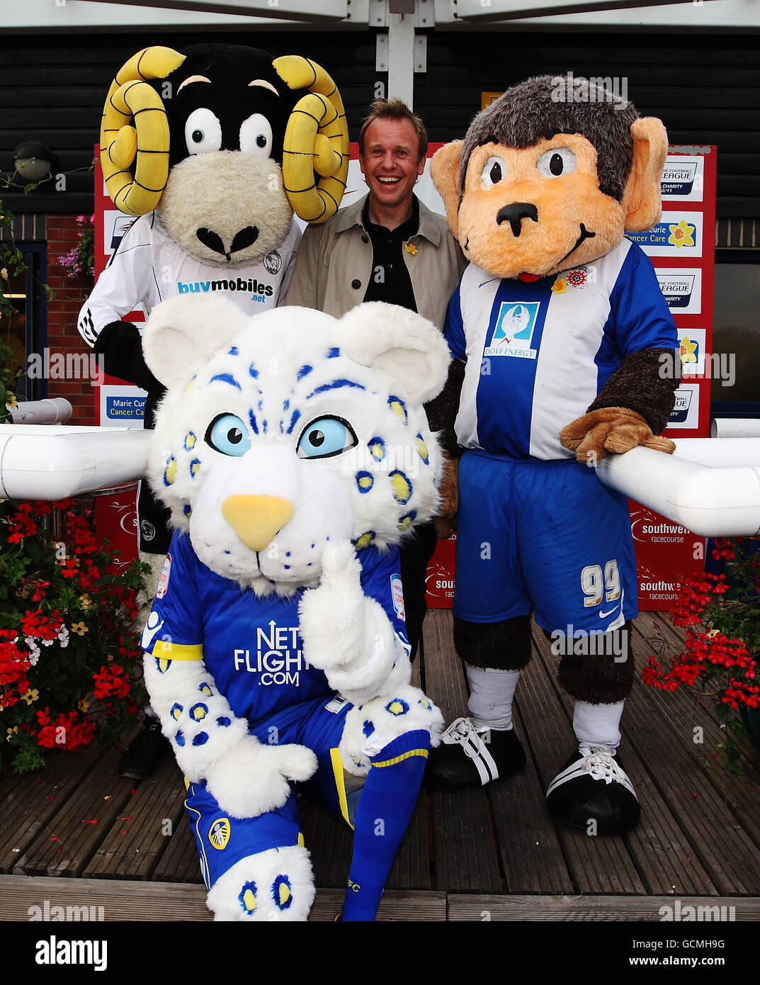 Lucas kop kat hi-res stock photography and images - Alamy