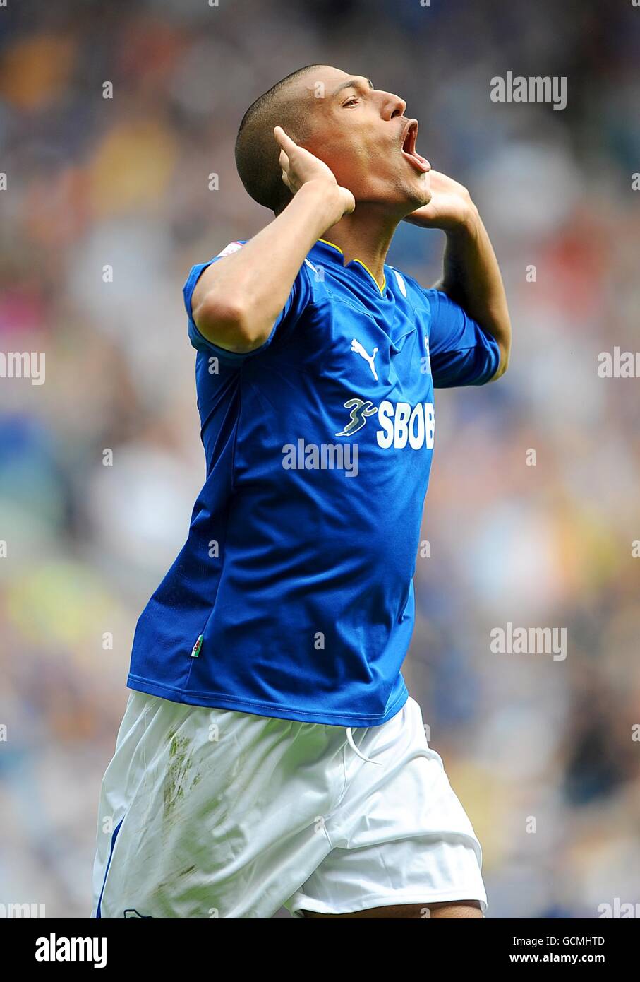 Cardiff City's Jay Bothroyd celebrates after scoring the equalising ...