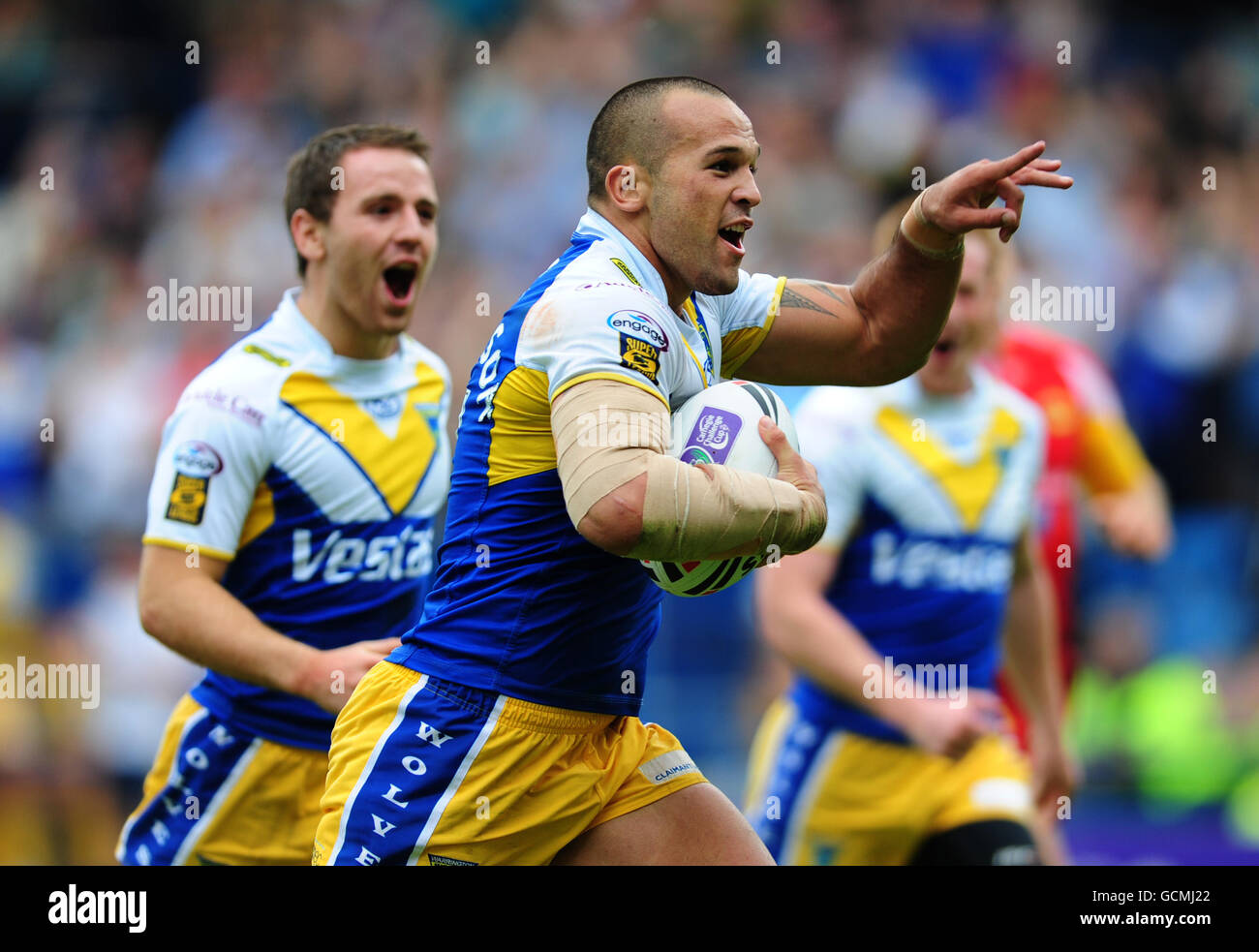 Wolves ampics hi-res stock photography and images - Alamy