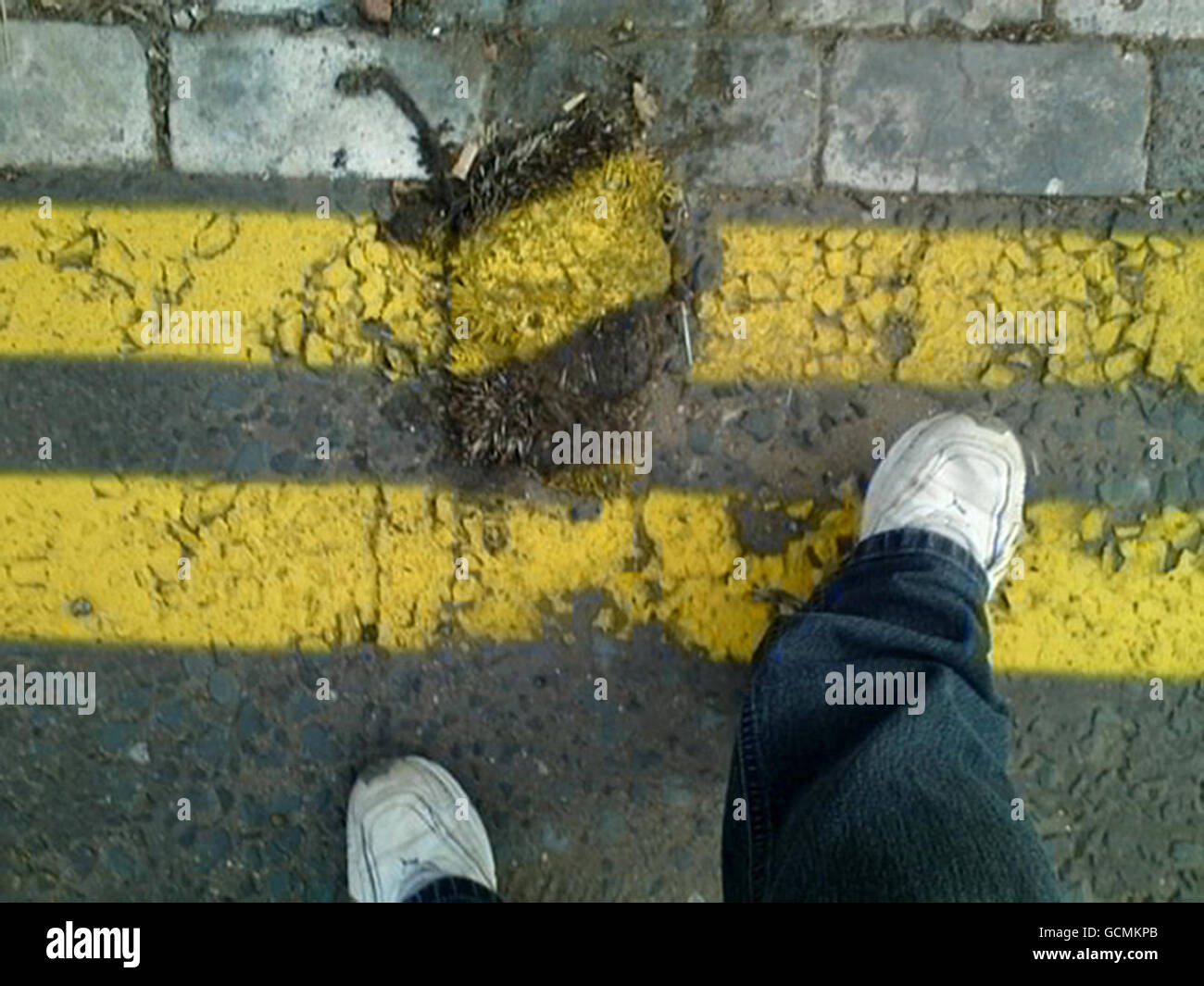Dead hedgehog painted Stock Photo - Alamy