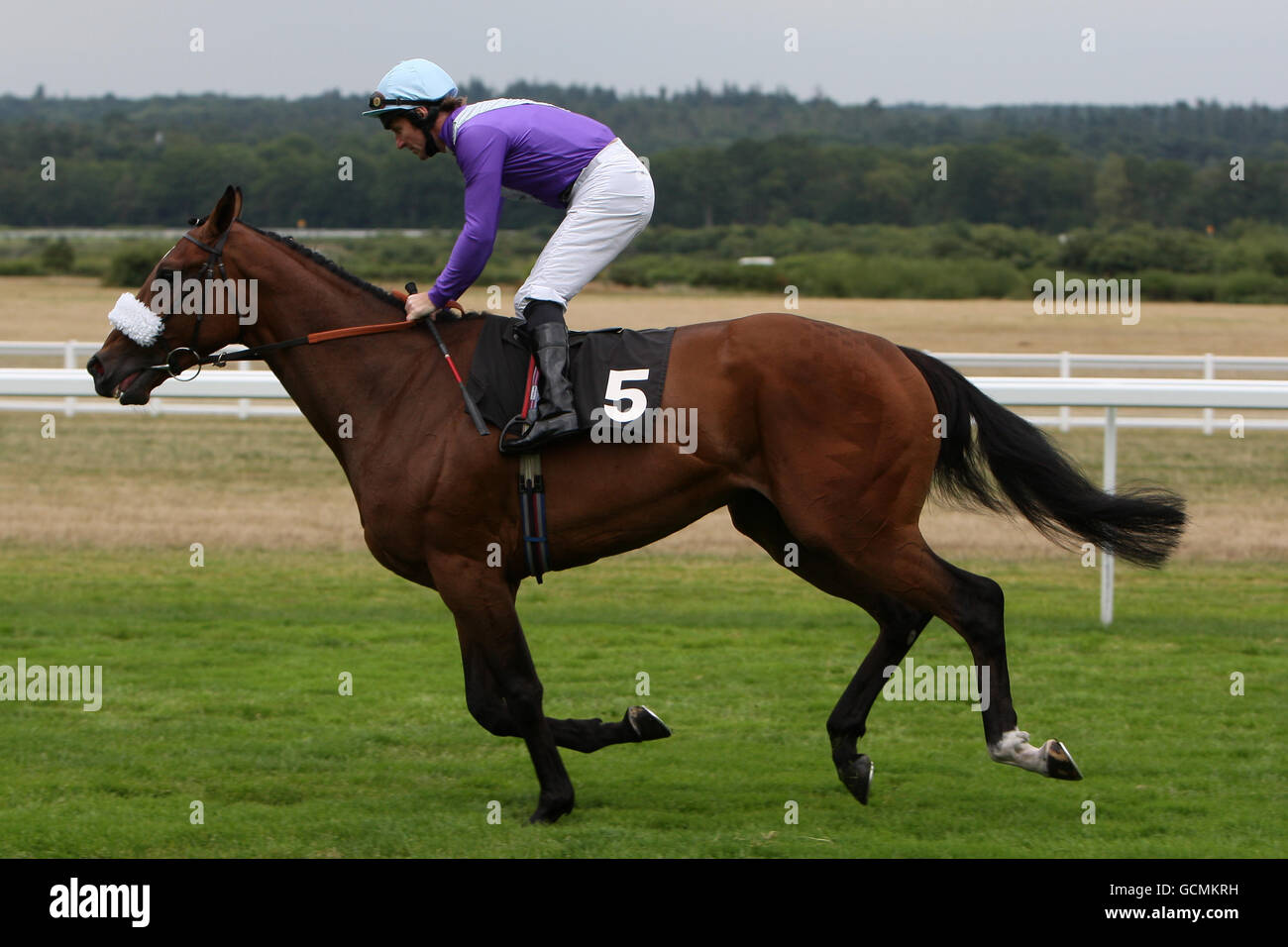 Jockey Jimmy Fortune on Breakheart goes to post in the Newsmith Capital ...