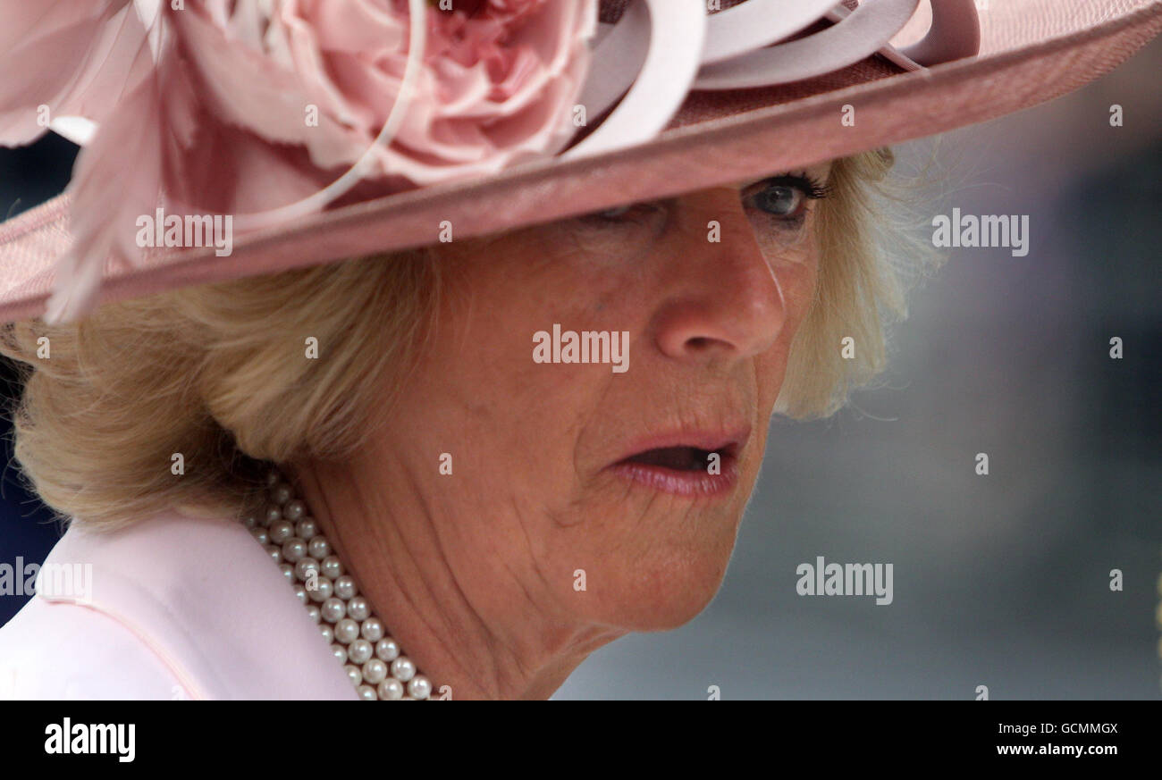 VJ Day celebrations Stock Photo - Alamy