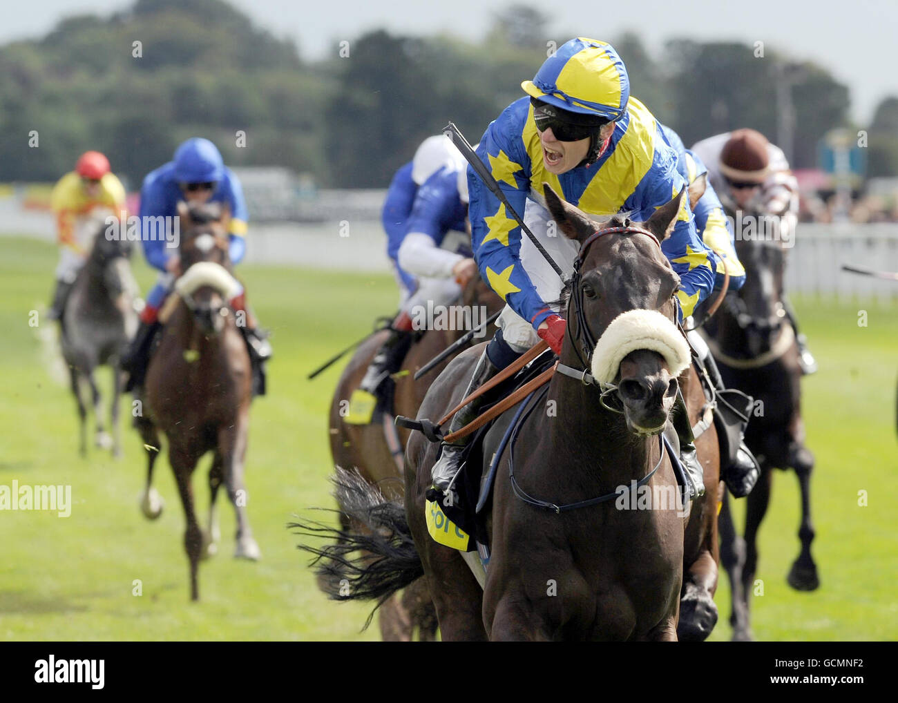 Horse racing ebor festival totesport ebor day york racecourse hi-res ...