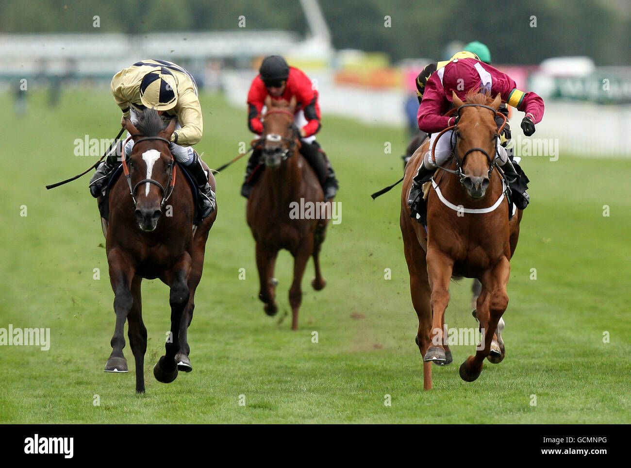 Horse Racing - Yorkshire Ebor Festival - totesport Ebor Day - York ...