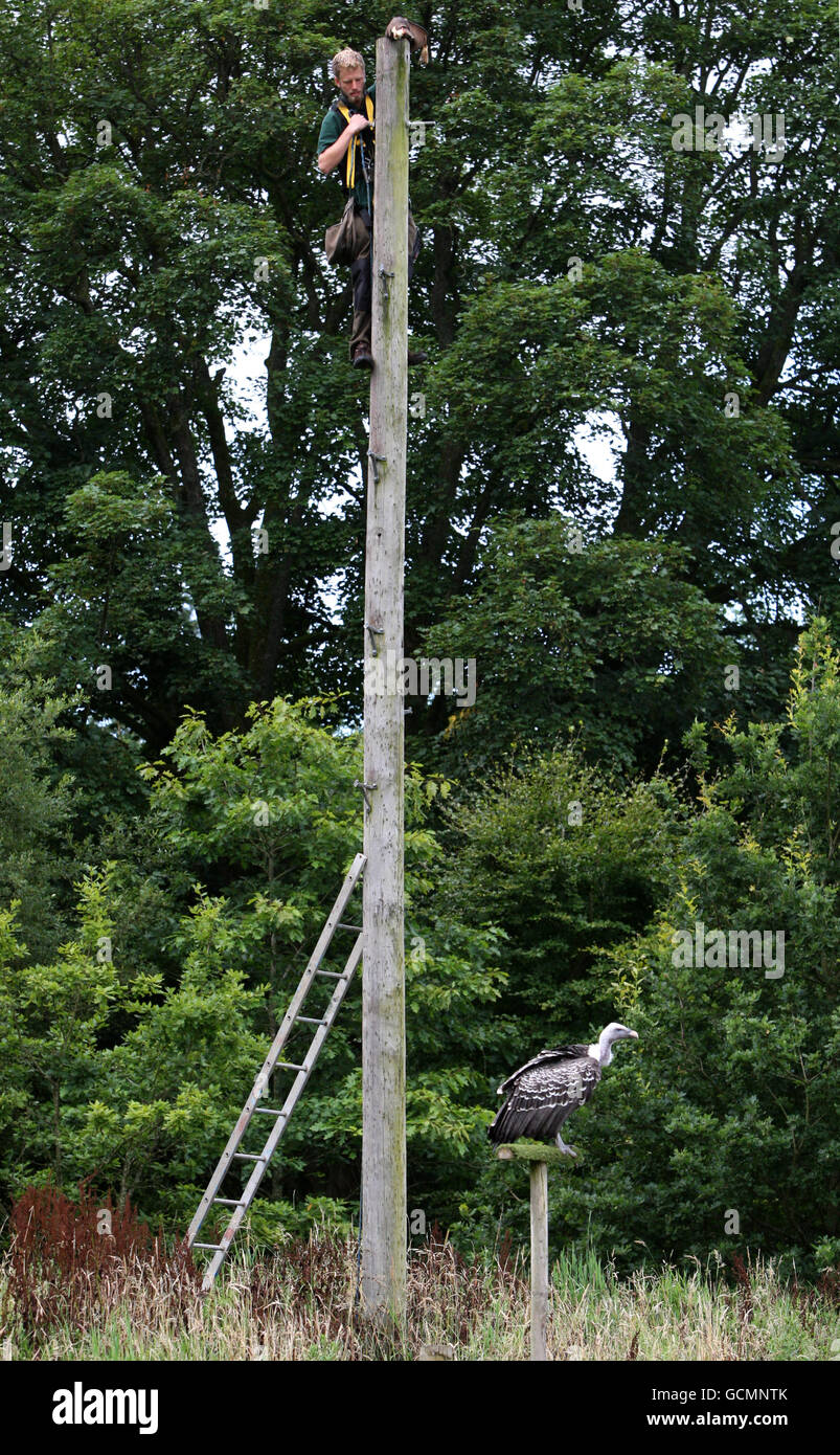 Coaxing hi-res stock photography and images - Alamy