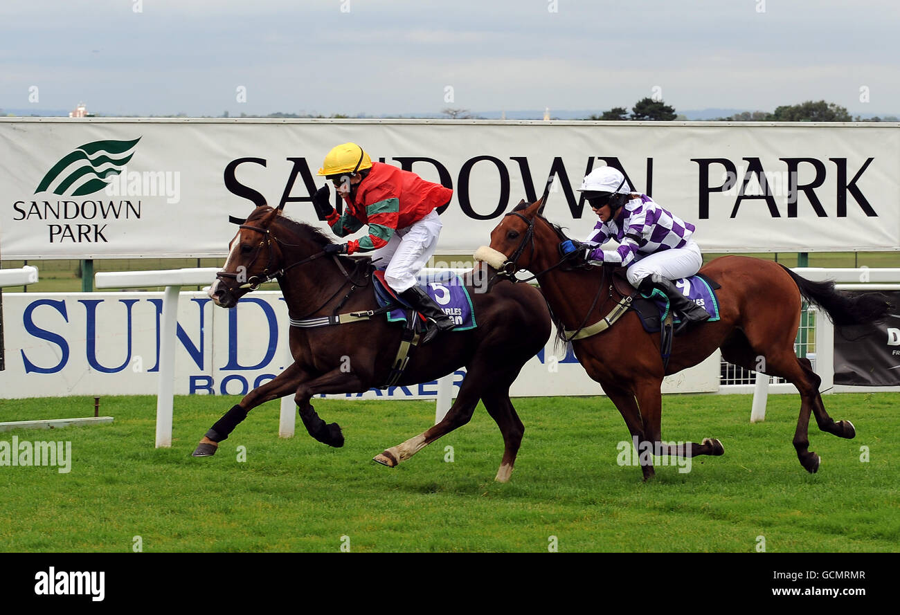 Races racing horses horse variety club pony race hi-res stock ...