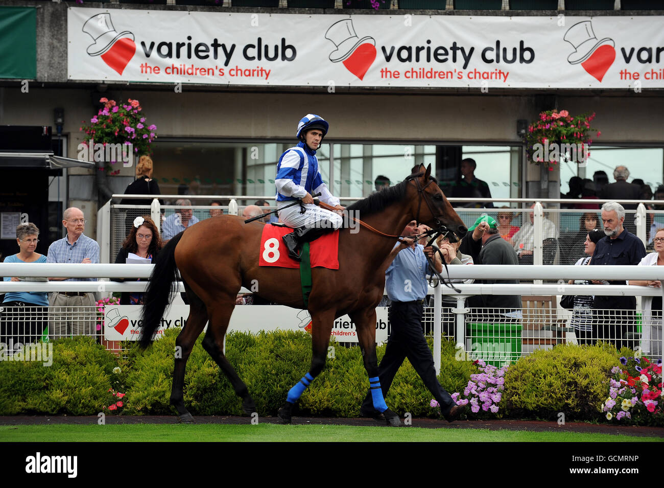 Horses are paraded in the parade ring at Sandown Park Stock Photo - Alamy