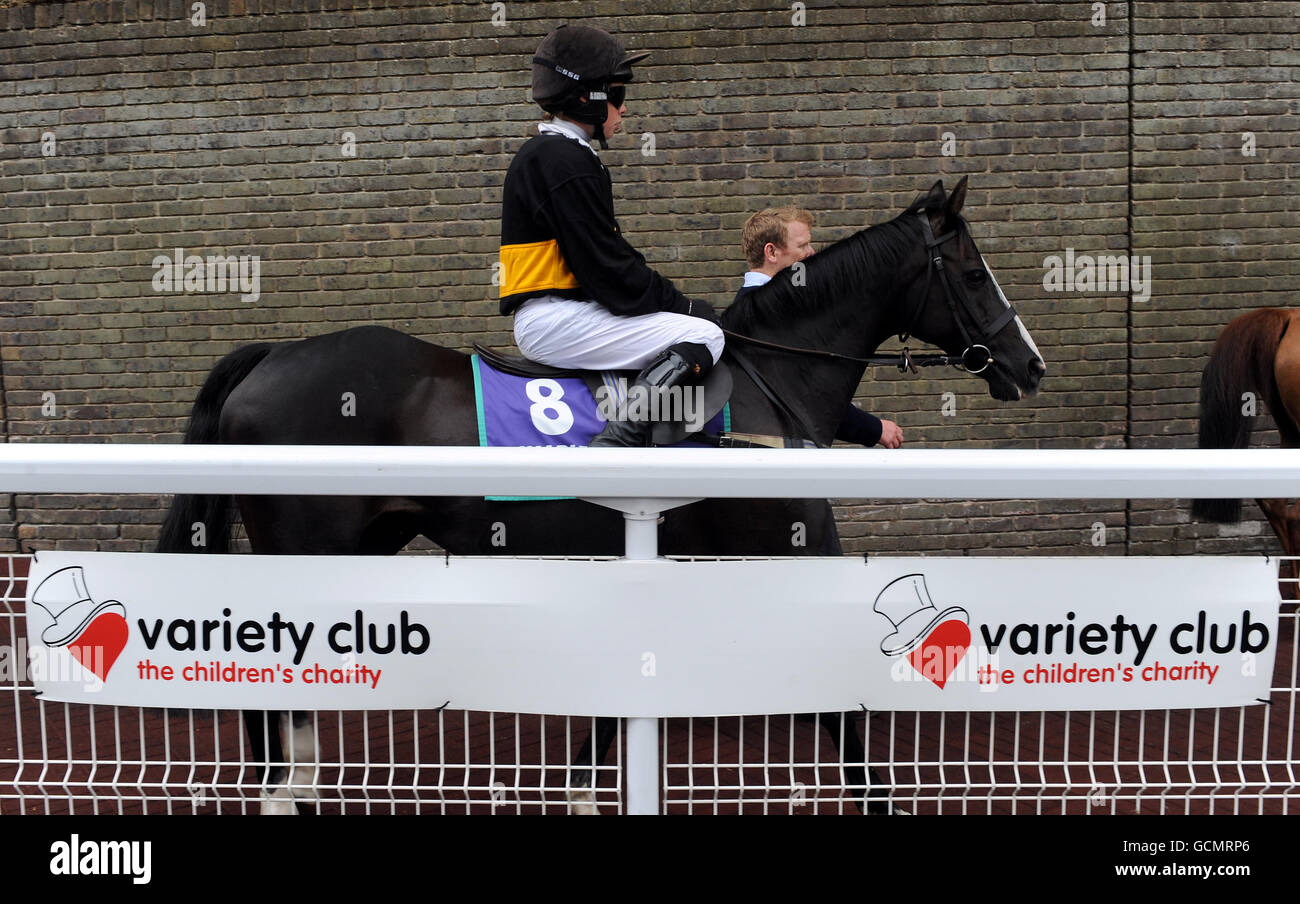 Races racing horses horse variety club pony race hi-res stock ...