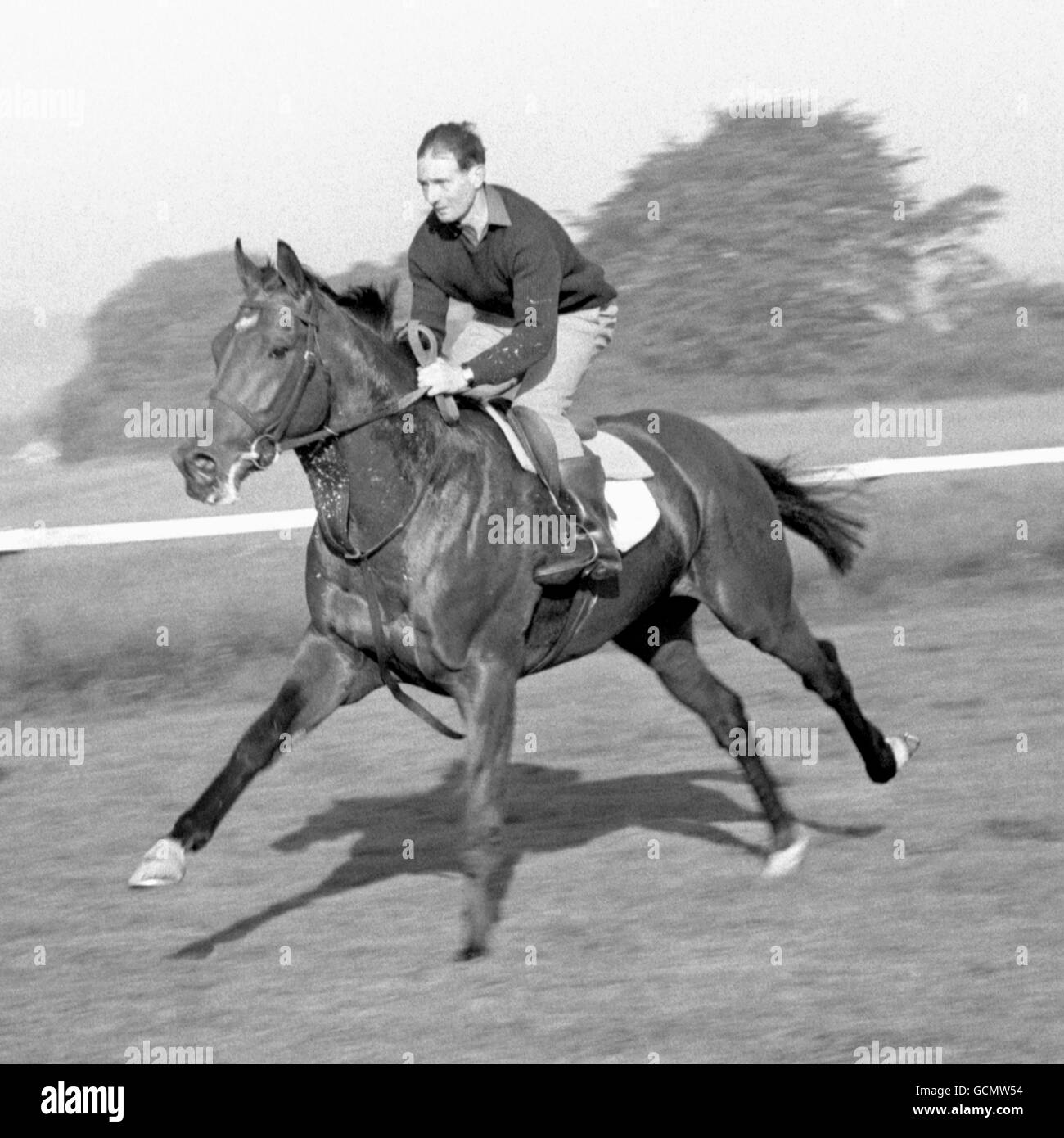 Horse racing nijinsky epsom hi-res stock photography and images - Alamy