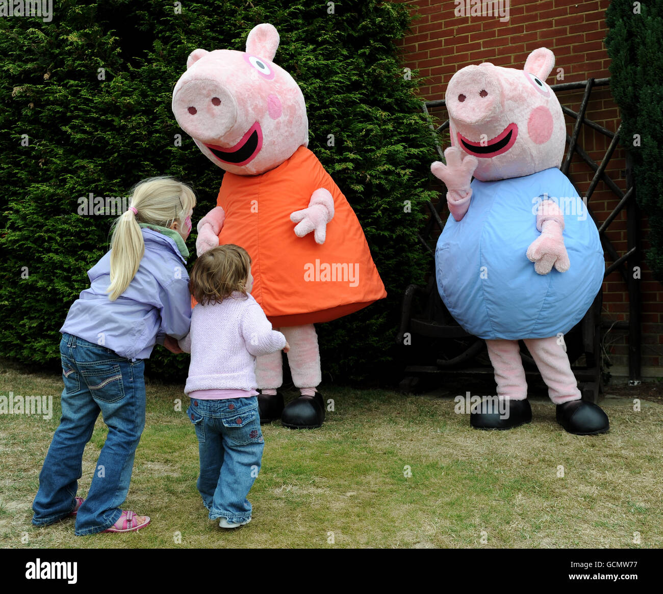 Pig racing hi-res stock photography and images - Alamy