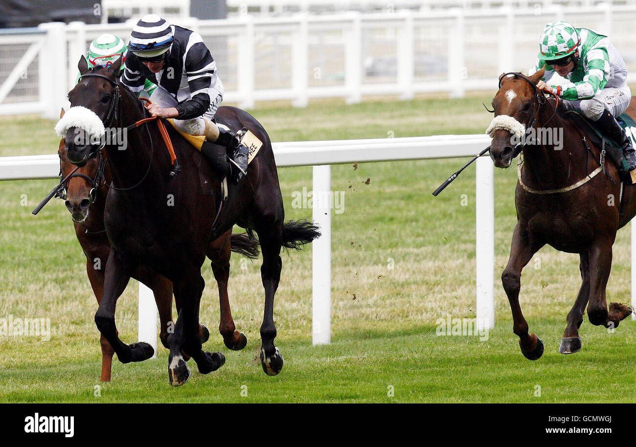 The dubai duty free shergar cup mile hi-res stock photography and ...
