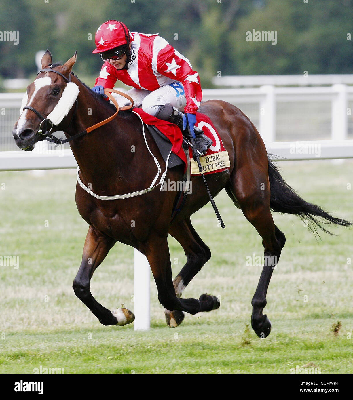 Shergar horse hi-res stock photography and images - Alamy
