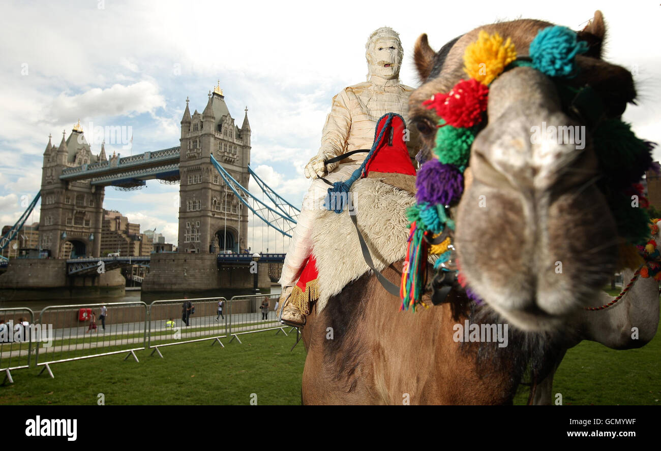 Camel travel bridge hi-res stock photography and images - Alamy