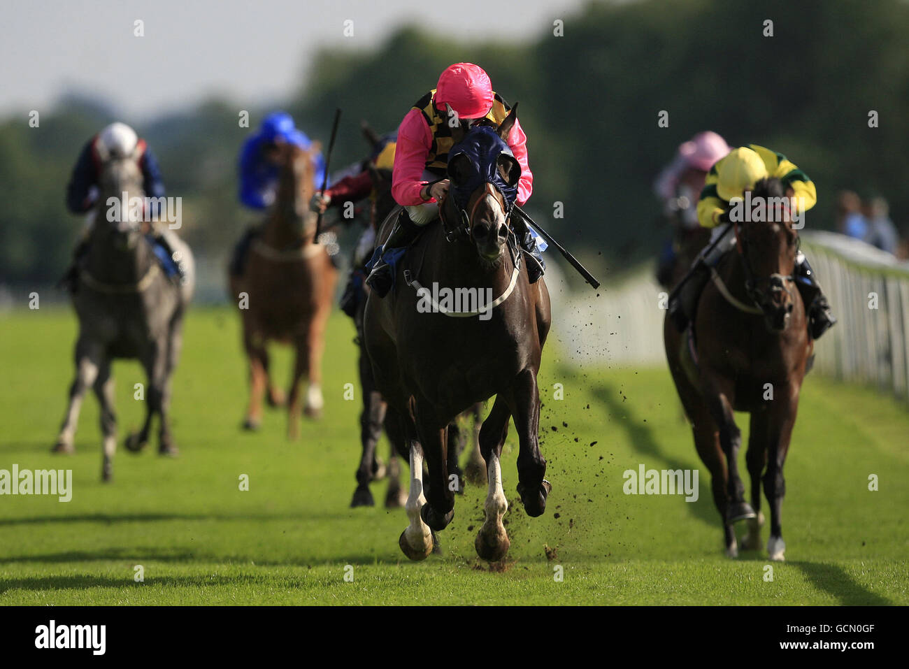 Pelmanism hi-res stock photography and images - Alamy