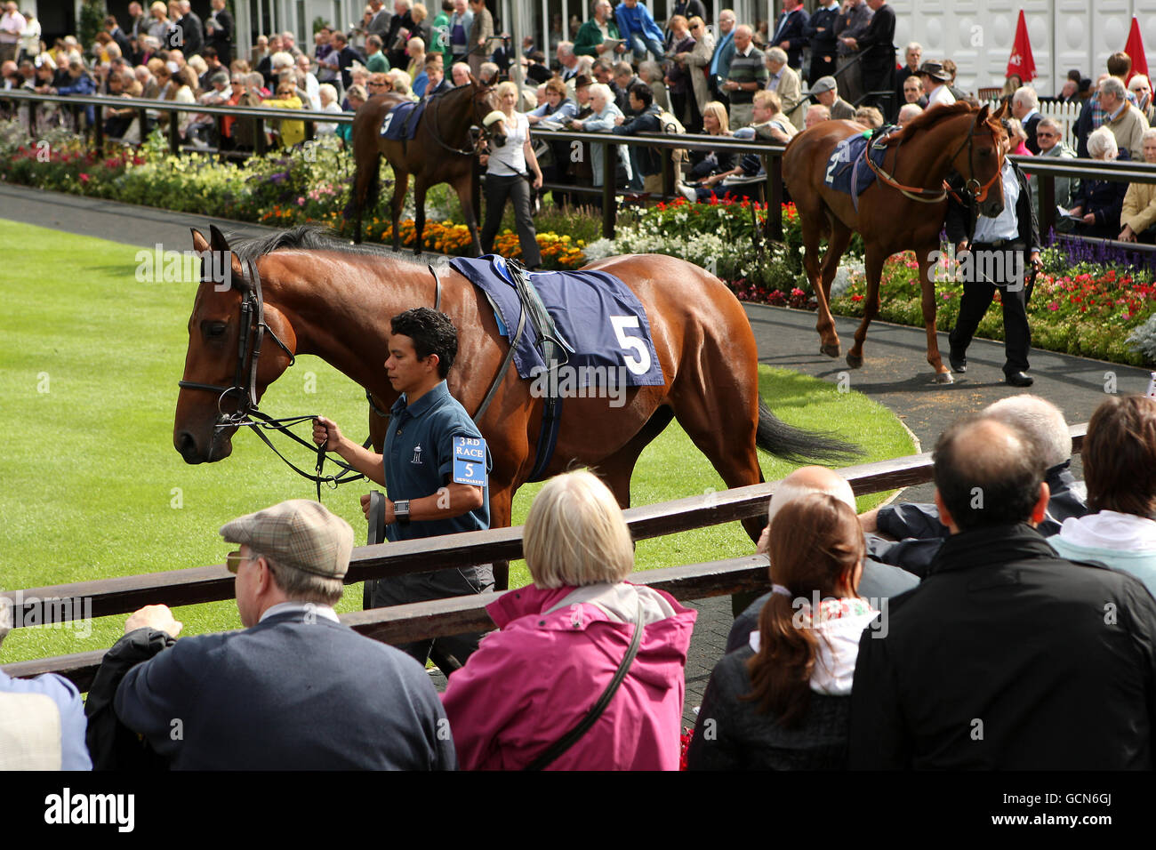 Horse Racing - Seniors' Day - Newmarket Racecourse. A general view of ...