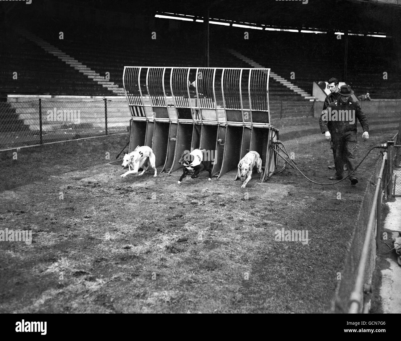 Wimbledon greyhound stadium Black and White Stock Photos & Images - Alamy