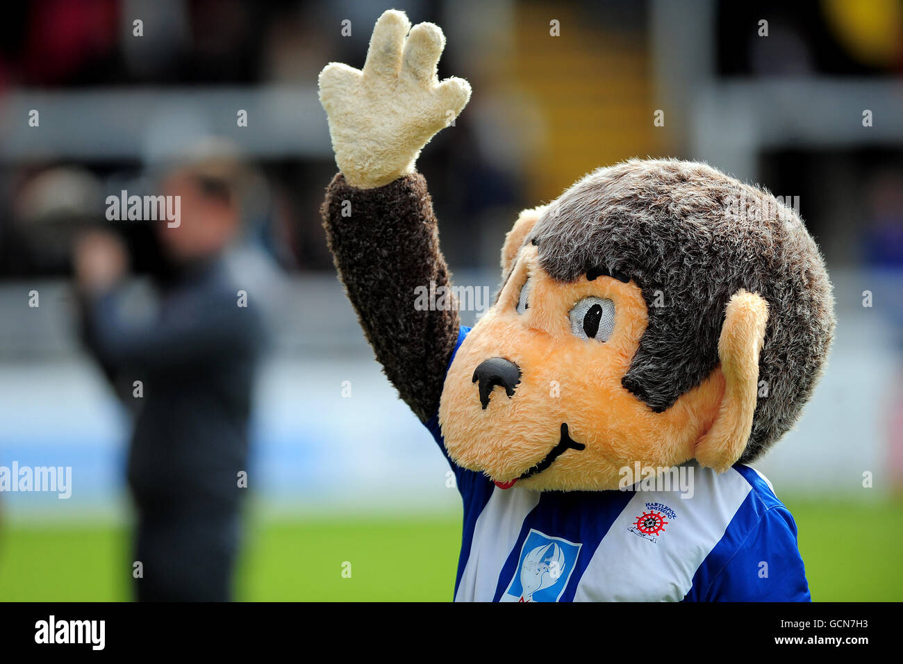 Hangus monkey hartlepool united mascot hi-res stock photography and ...