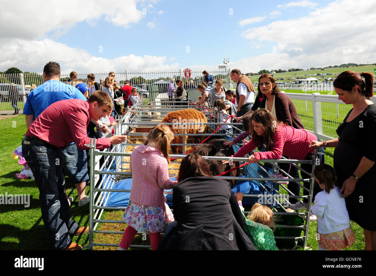 Horse Racing - Family Funday - Epsom Downs Racecourse Stock Photo - Alamy