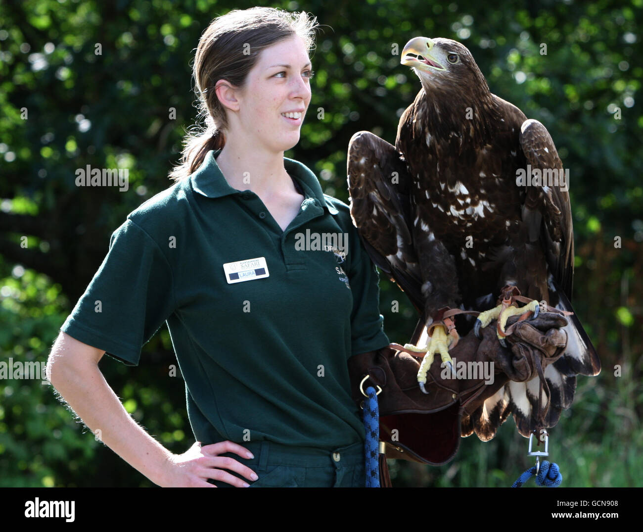 Falconer Laura Downie goes through her daily routine as she weighs ...