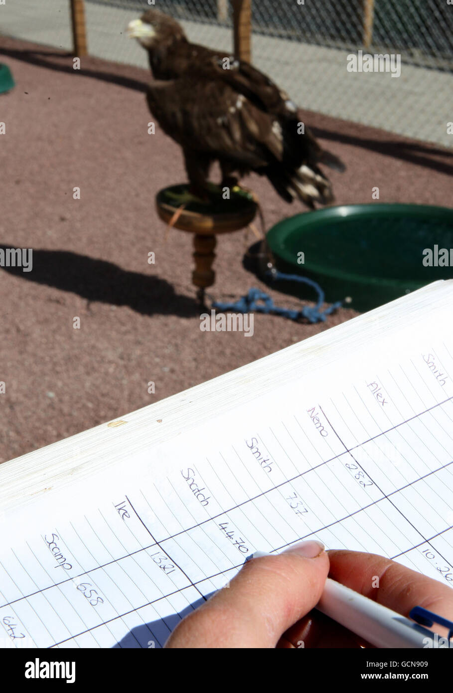 Standalone photo general view gv shadow mangis hi-res stock photography ...