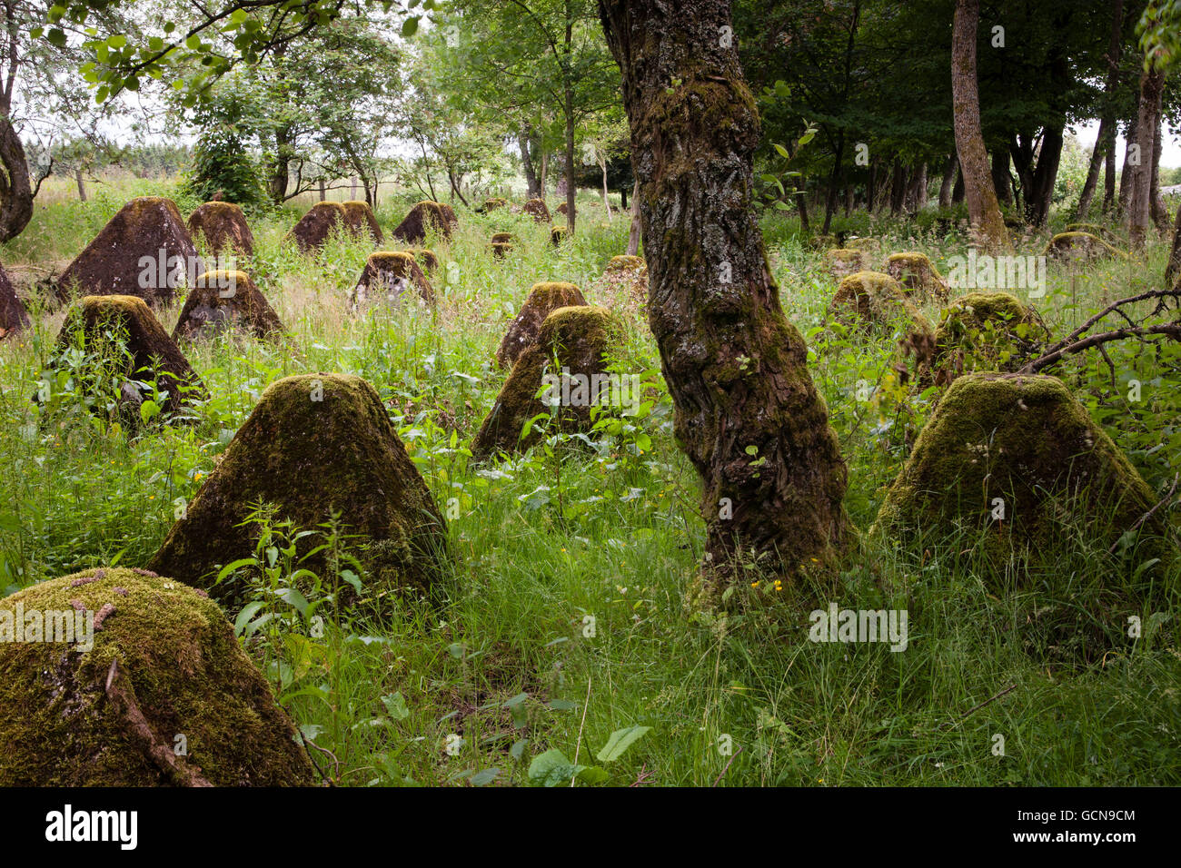 Tank traps hi-res stock photography and images - Alamy