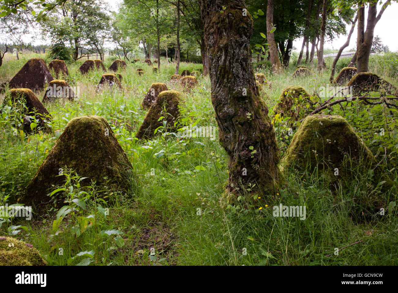 Europe, Germany, North Rhine-Westphalia, tank traps of the Siegfried ...