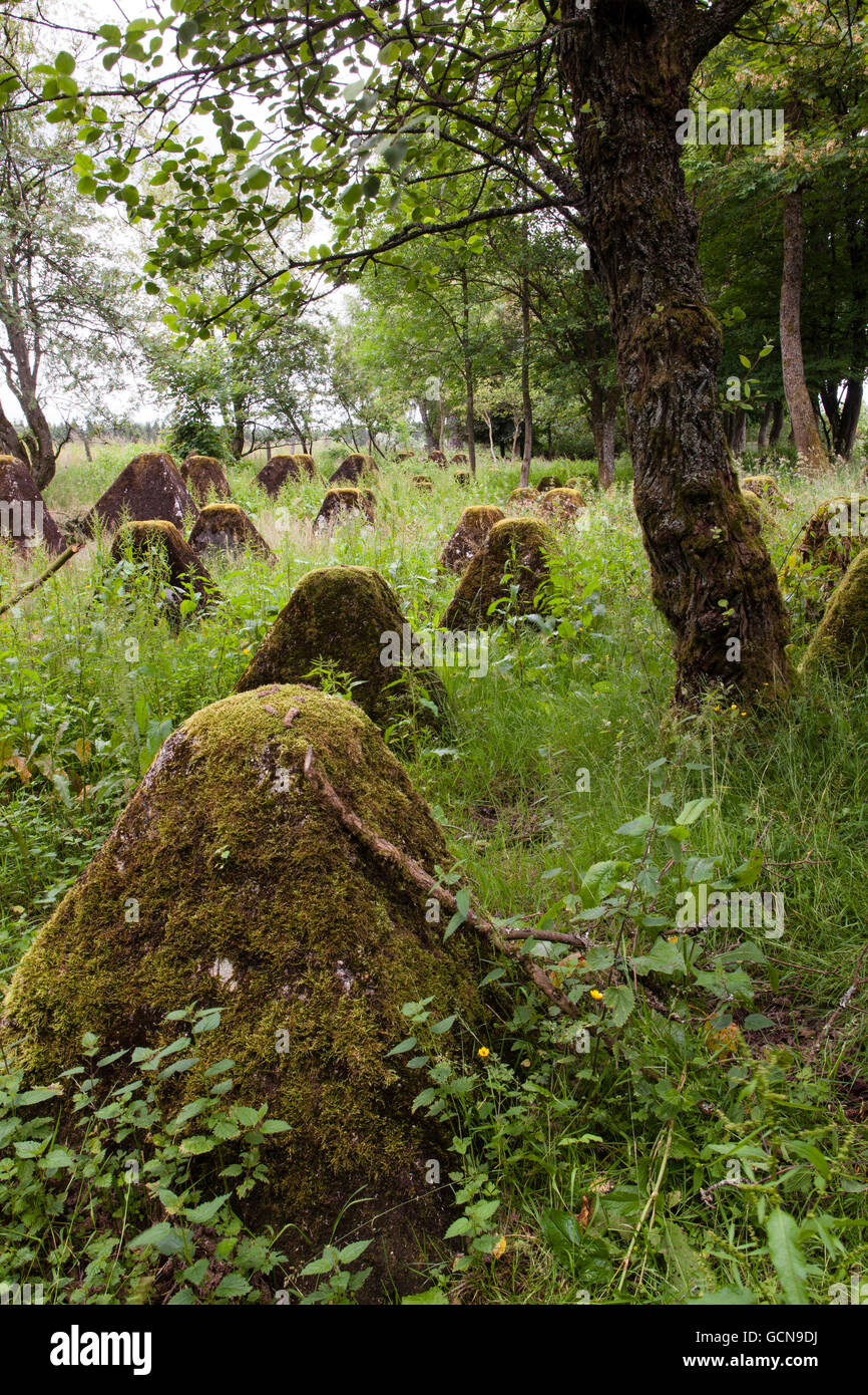 Siegfried line hi-res stock photography and images - Alamy