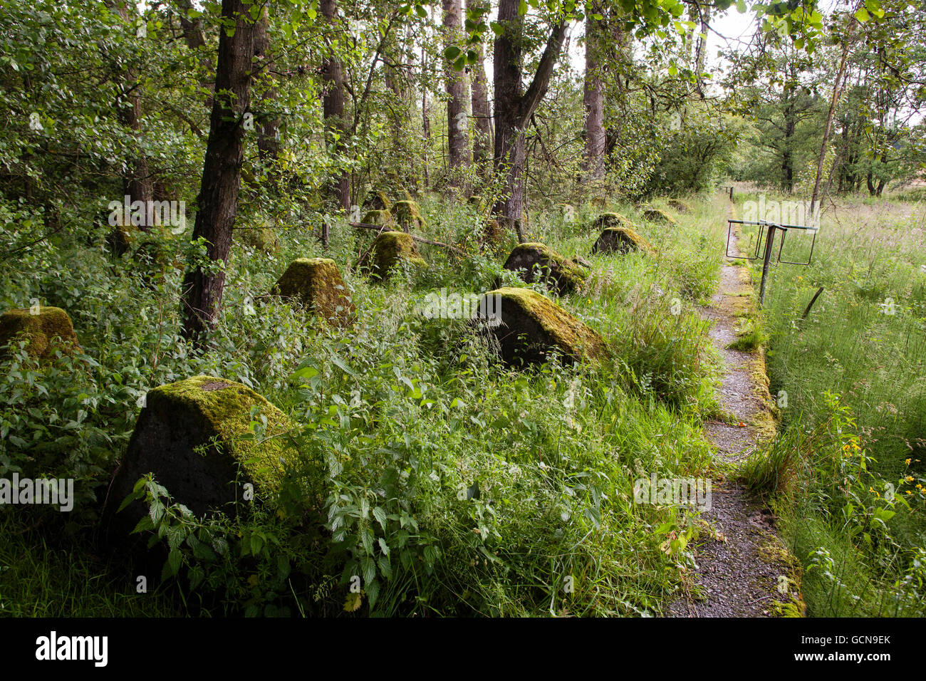 Siegfriedstellung hi-res stock photography and images - Alamy