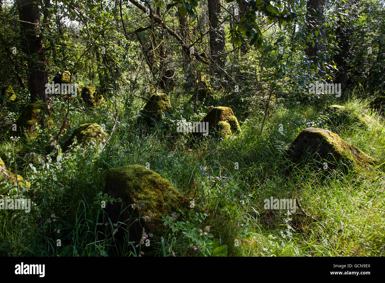 Europe, Germany, North Rhine-Westphalia, tank traps of the Siegfried ...