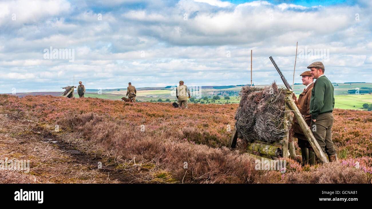 North Yorkshire, England UK - A team of Guns waiting and walking out on ...