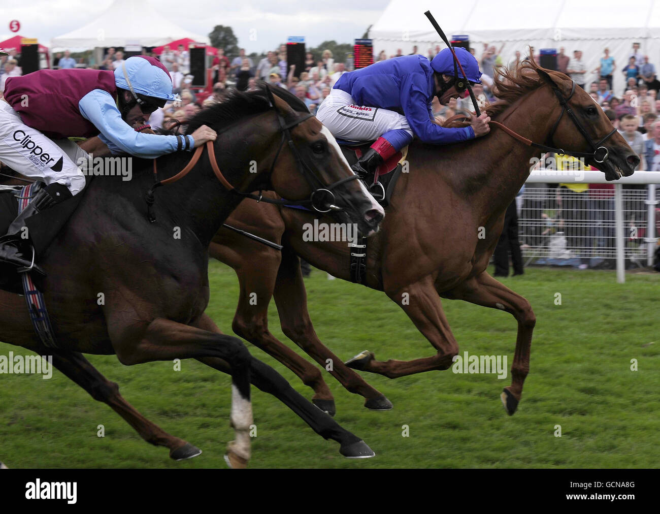 Racing york full length riding mangsm hi-res stock photography and ...